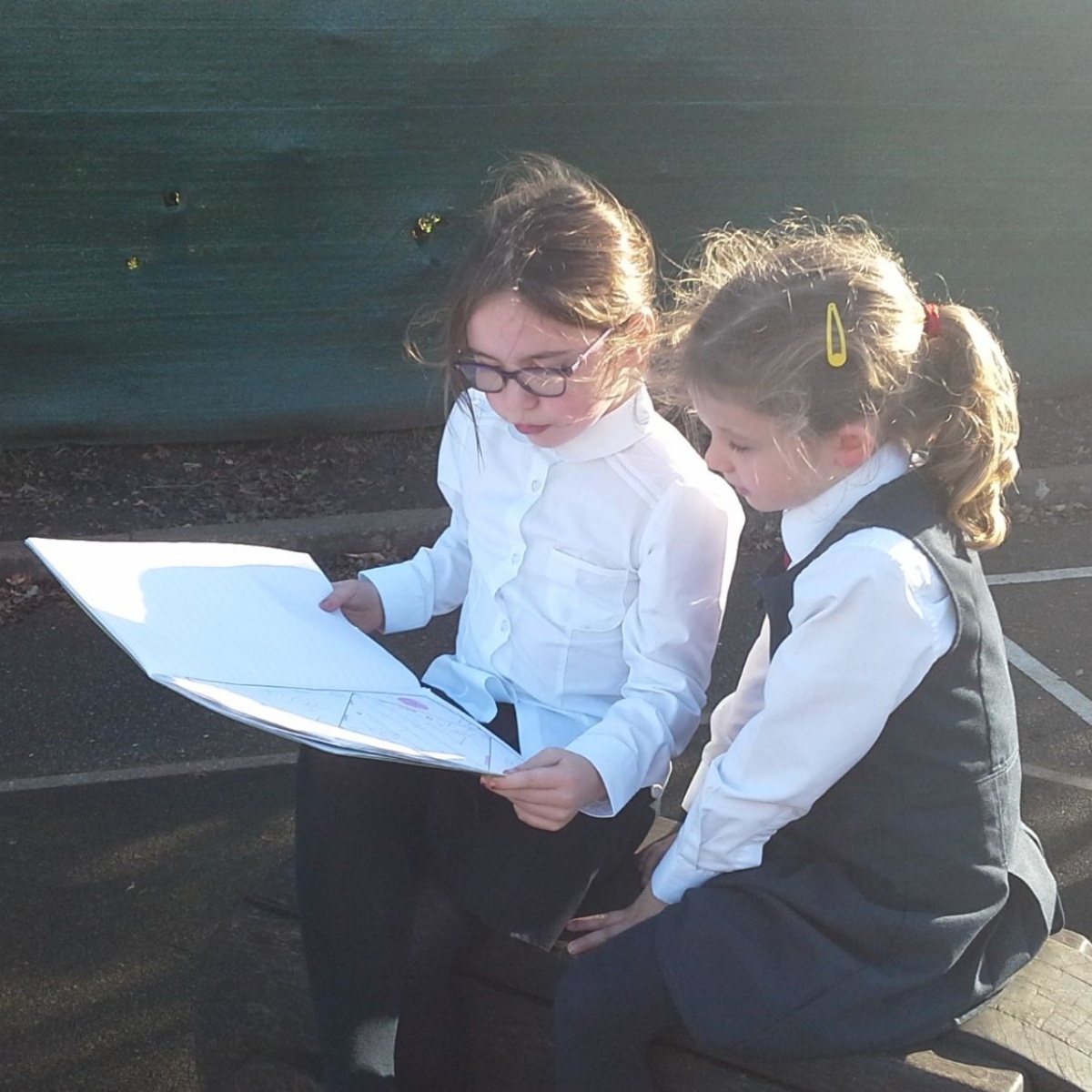 Cardinal Newman Catholic Primary School - Blue Class - English