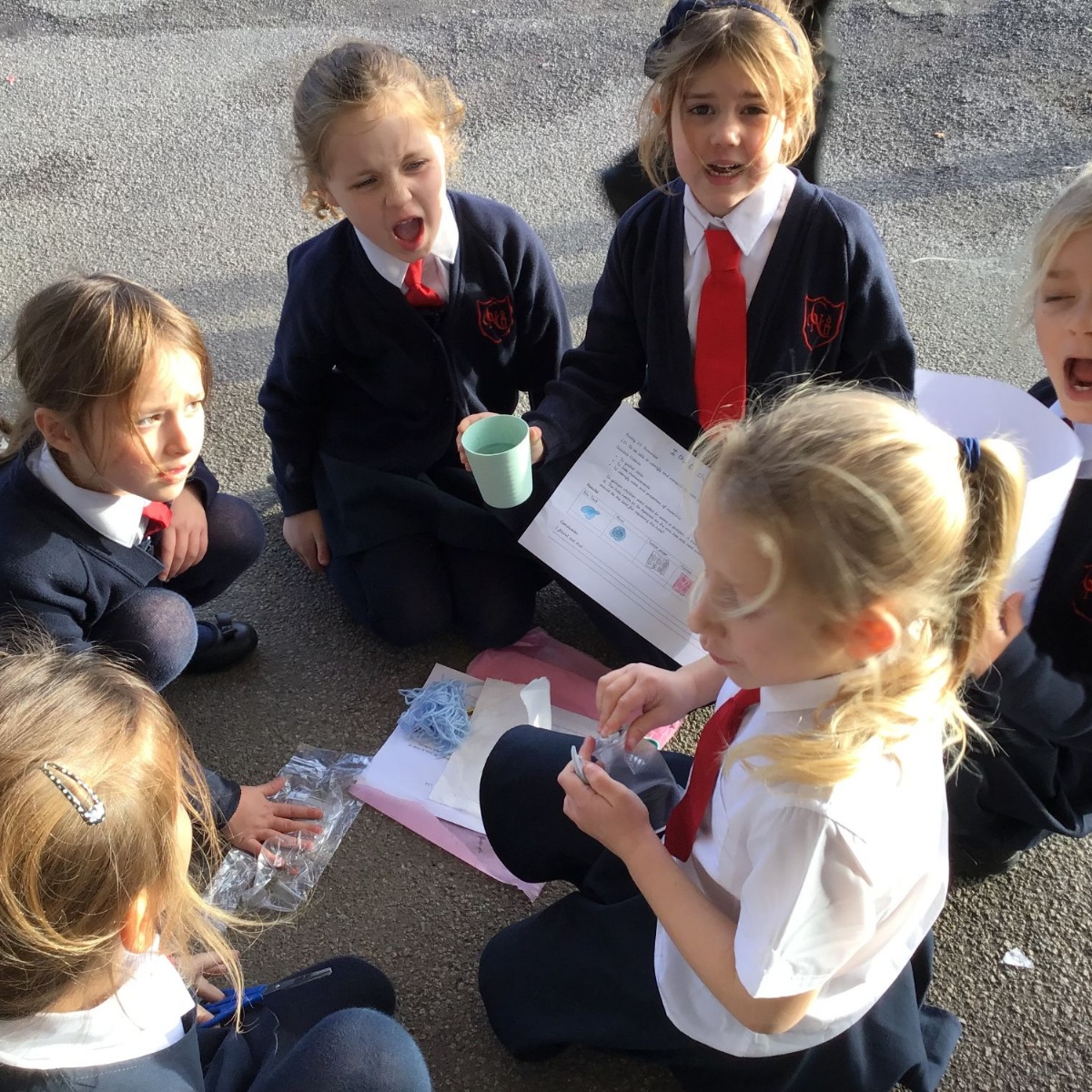 Cardinal Newman Catholic Primary School - Violet Class - Science