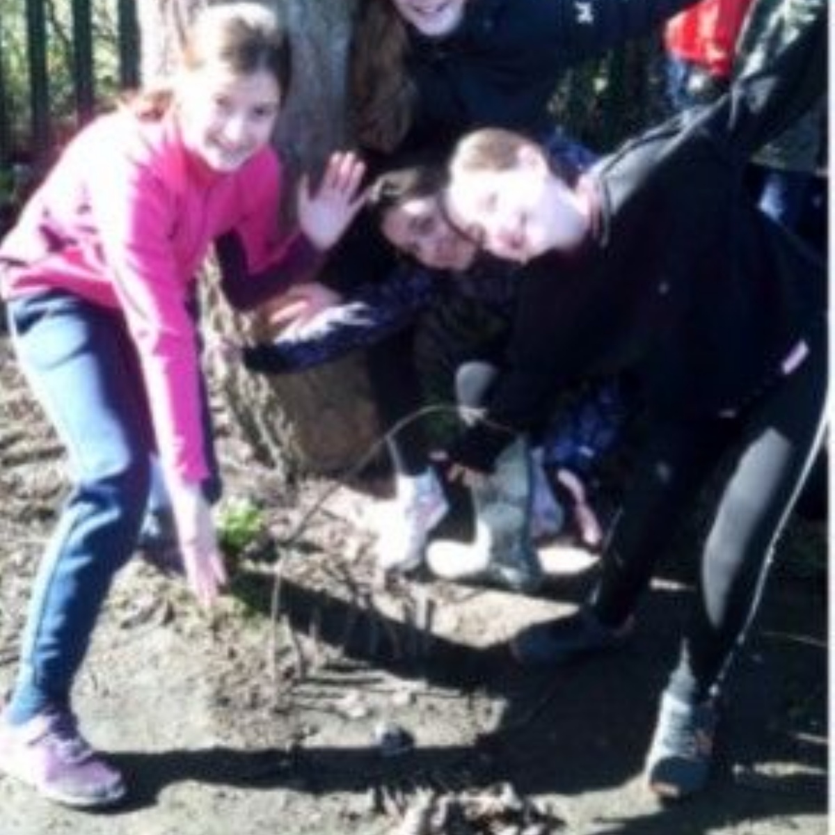 Cardinal Newman Catholic Primary School - Forest School - Spring Term