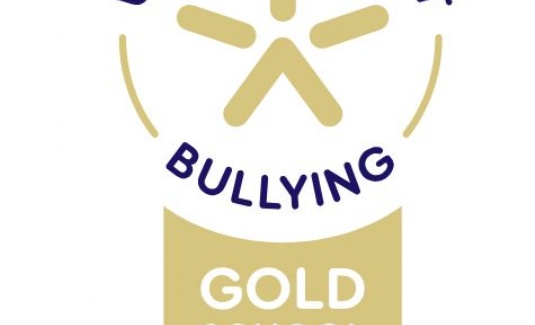 Cardinal Newman Catholic Primary School - Anti Bullying Awards 2024
