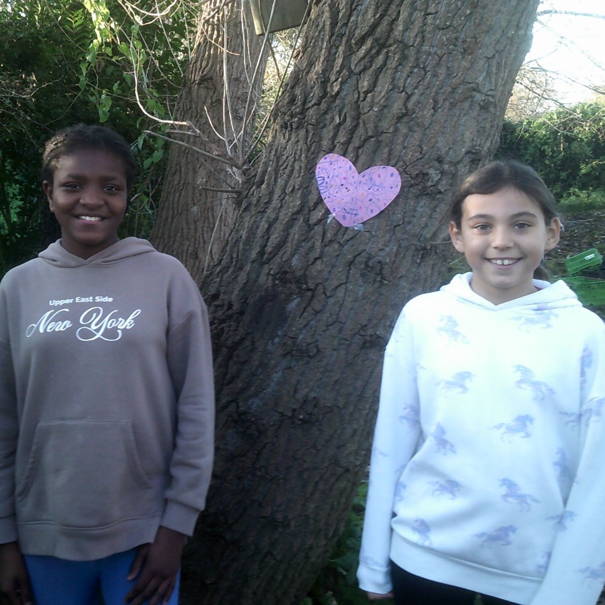 Cardinal Newman Catholic Primary School - Sapphire Class Forest School