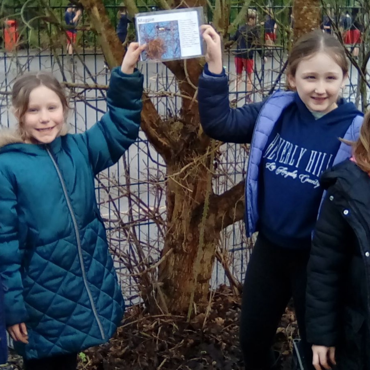 Cardinal Newman Catholic Primary School - Coral Class Forest School